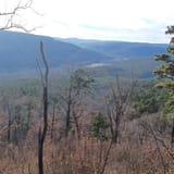 Arkansas Sphinx Trail, Arkansas - 192 Reviews, Map | AllTrails