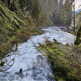 Kalama Falls Trail, Washington - 562 Reviews, Map | AllTrails
