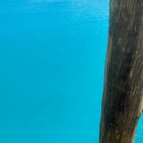 Bush Key Trail, Florida - 52 Reviews, Map | AllTrails