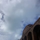 Bush Key Trail, Florida - 52 Reviews, Map | AllTrails