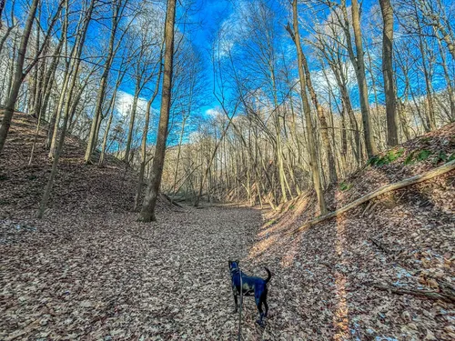 Best 10 Hiking Trails in Abraham Lincoln Park | AllTrails