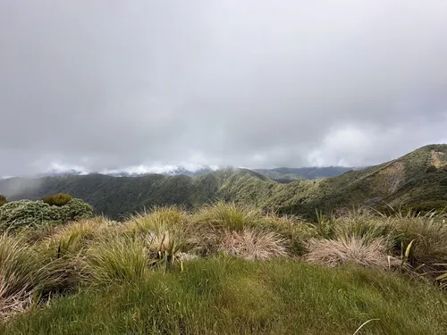 10 Best Hikes and Trails in Tararua Forest Park | AllTrails
