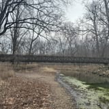 Spring Brook Trail: Rock Bridge Memorial State Park, Missouri - 252 ...