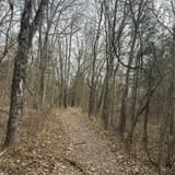 Spring Brook Trail: Rock Bridge Memorial State Park, Missouri - 252 ...