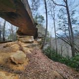 Princess Arch Trail [CLOSED], Kentucky - 1,135 Reviews, Map | AllTrails
