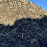 Barnhardt Trail, Arizona - 381 Reviews, Map | AllTrails