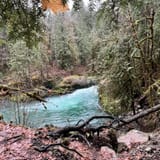 Ranger Hole Trail, Washington - 483 Reviews, Map | AllTrails