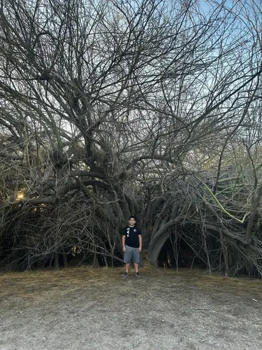 Best Hikes and Trails in Gilbert Riparian Preserve | AllTrails