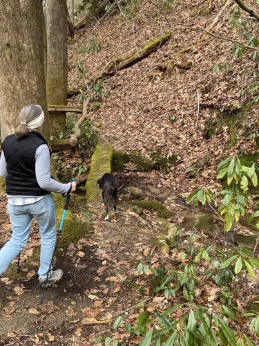 Best Hikes and Trails in Connestee Falls Hiking Trails | AllTrails