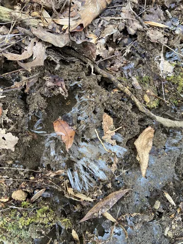 Best Hikes and Trails in Connestee Falls Hiking Trails | AllTrails