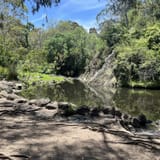 Darebin Parklands Loop, Victoria, Australia - 139 Reviews, Map | AllTrails