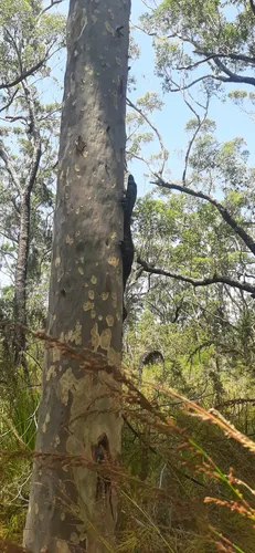 Best 10 Hiking Trails in Meroo National Park | AllTrails