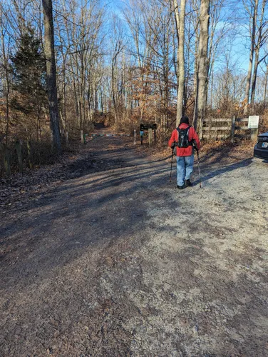 Best Hikes and Trails in Mountain Tea State Forest | AllTrails
