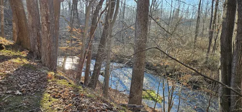Best 10 Hiking Trails in Powder Mill Park | AllTrails