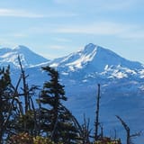 Black Butte Trail, Oregon - 1,811 Reviews, Map | AllTrails