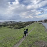 Nimitz Way, California - 1,646 Reviews, Map | AllTrails