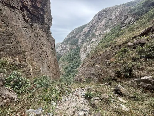 Best Bird Watching Trails in Ngong Ping | AllTrails