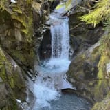 Comet Falls via Van Trump Trail, Washington - 2,366 Reviews, Map ...