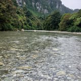 Ballroom Overhang Track, West Coast, New Zealand - 34 Reviews, Map ...