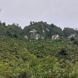 Ballroom Overhang Track, West Coast, New Zealand - 34 Reviews, Map ...