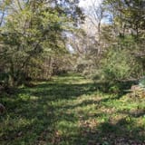 Moon Seed Loop, Louisiana - 378 Reviews, Map | AllTrails