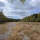 Moon Seed Loop, Louisiana - 381 Reviews, Map | AllTrails