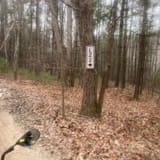 Peter's Mill Run OHV Trail, Virginia - 370 Reviews, Map | AllTrails