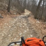 Peter's Mill Run OHV Trail, Virginia - 370 Reviews, Map | AllTrails