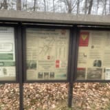 Peter's Mill Run OHV Trail, Virginia - 370 Reviews, Map | AllTrails