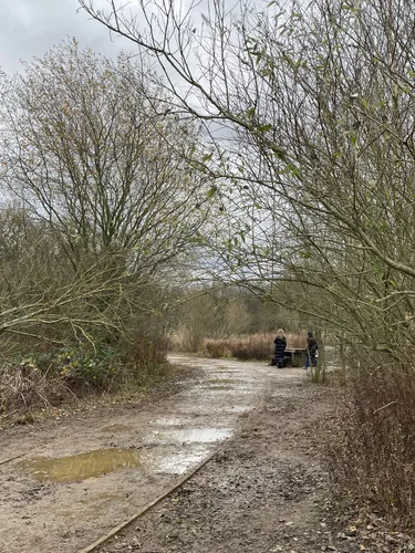 Best Hikes and Trails in Chingford | AllTrails