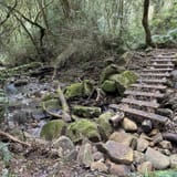 Magoebaskloof Hiking trail, Limpopo, South Africa - 17 Reviews, Map ...