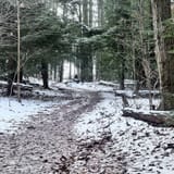 Wintergreen Gorge Trail, Pennsylvania - 587 Reviews, Map | AllTrails