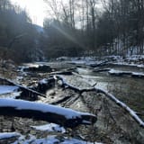 Wintergreen Gorge Trail, Pennsylvania - 587 Reviews, Map | AllTrails