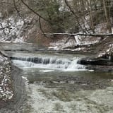 Wintergreen Gorge Trail, Pennsylvania - 587 Reviews, Map | AllTrails