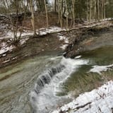 Wintergreen Gorge Trail, Pennsylvania - 586 Reviews, Map | AllTrails