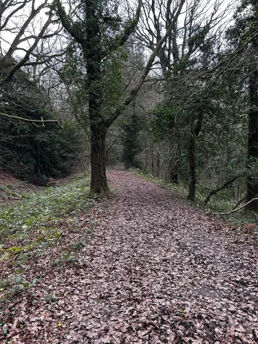 Best Hikes and Trails in Credenhill Park Wood | AllTrails