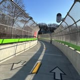 Allison Park Loop, New Jersey - 954 Reviews, Map | AllTrails