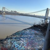 Allison Park Loop, New Jersey - 954 Reviews, Map | AllTrails