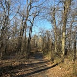Allison Park Loop, New Jersey - 954 Reviews, Map | AllTrails