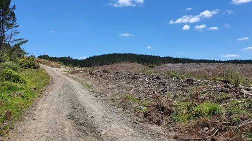 Best Easy Trails in Riverhead Forest | AllTrails