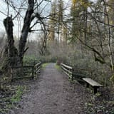 Nolte State Park Deep Lake, Washington - 588 Reviews, Map | AllTrails