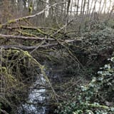 Nolte State Park Deep Lake, Washington - 588 Reviews, Map | AllTrails