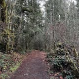 Nolte State Park Deep Lake, Washington - 588 Reviews, Map | AllTrails