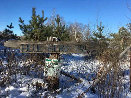 Best Hikes and Trails in Oak Ridges Trail Association: Clarington ...