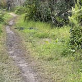 CREW Bird Rookery Swamp, Florida - 514 Reviews, Map | AllTrails