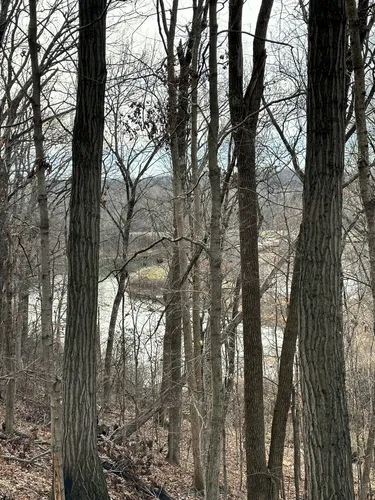 Best Moderate Trails in Kickapoo State Park | AllTrails