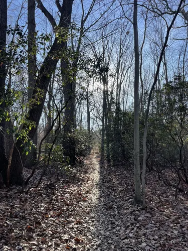 Best Hikes and Trails in Huber Woods County Park | AllTrails