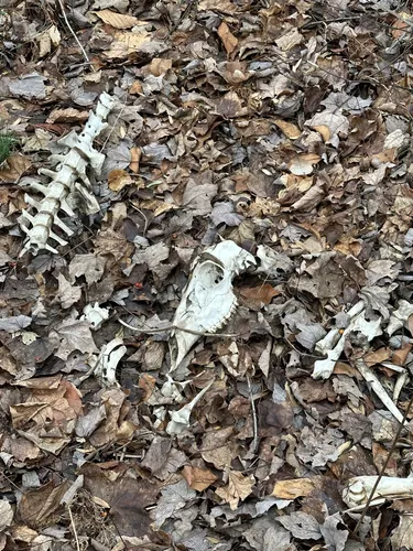 Best Hikes and Trails in Core Creek County Park | AllTrails