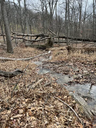 Best Hikes and Trails in Berkeley Springs | AllTrails