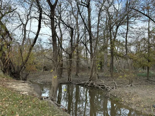 Best Hikes and Trails in George Bush Park | AllTrails